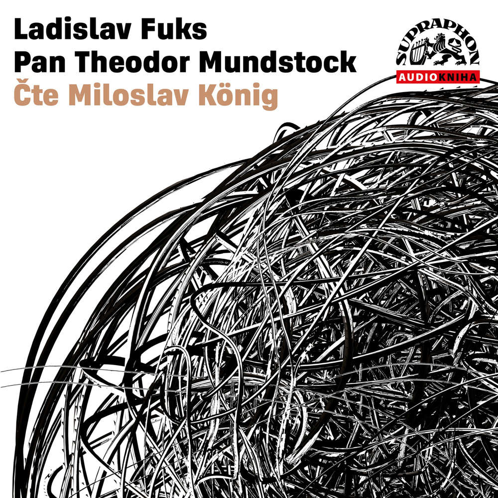 Audiokniha Pan Theodor Mundstock - Audioknihy ke stažení