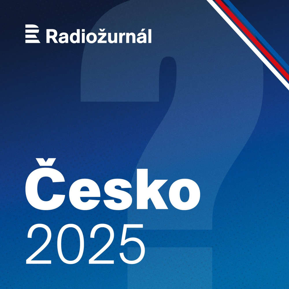Epizóda Česko 2025: Předvolební brífink: Jak se Česku daří zvládat migraci? podcastu Radiožurnál ...